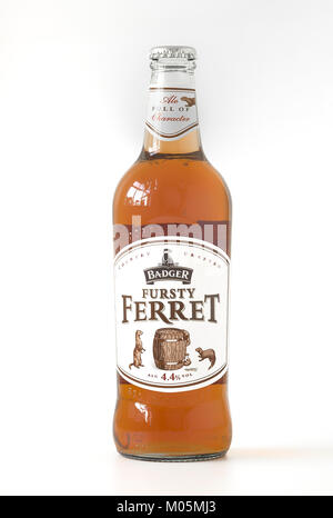 Bottle of Badger Fursty Ferret beer brewed at Hall Woodhouse Blandford ...