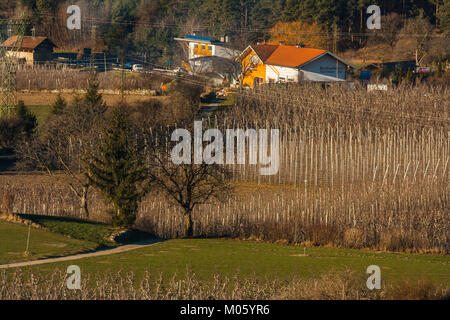 Naz-Sciaves, Natz-Schabs, Eisack Valley, Bolzano, Trentino Alto Adige ...