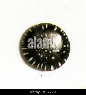 Pinhead. Pinhead. Glass. Glass Stock Photo - Alamy