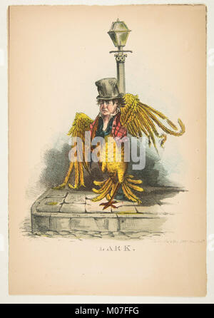 Lark, from The Comic Natural History of the Human Race 1851 Henry Louis ...
