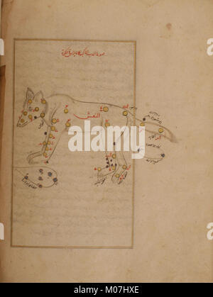 This manuscript by al-Sufi illustrates constellations and fixed stars ...