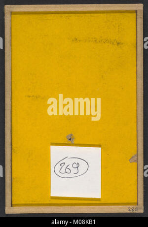 Mathieu. Gustave. (avec une barbe postiche) 1880s–90s Alphonse ...