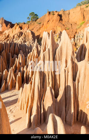 Rugged limestone rocks, limestone rocks in Tsingy de Bemaraha National ...
