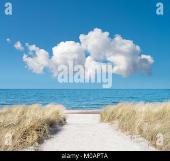 Entrance to the beach in Rugen island, Northern Germany. Romantic ...