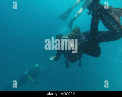 Greek Special Operations Forces conduct vehicle interdiction training ...