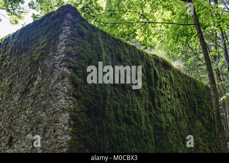 Bunker covered with moss in Mamerki (German: Mauerwald) bunker complex ...
