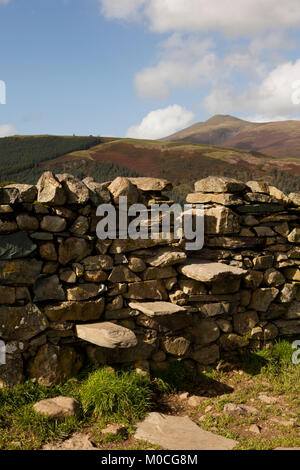 Traditional drystone wall and footpath stile between fields ...
