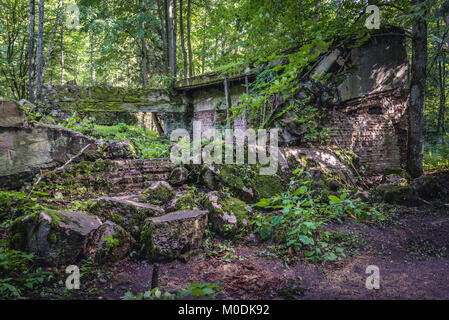 Collapsed building in Wolf's Lair - the headquarters of Adolf Hitler ...