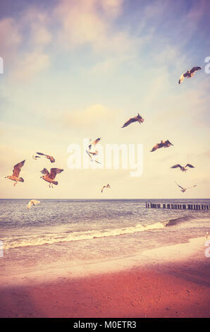 seagull in fly on the sea in Eggum in Norway Stock Photo - Alamy