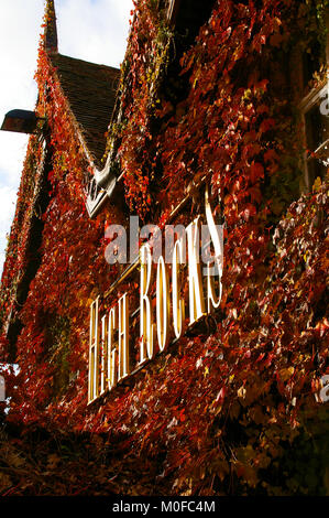 High Rocks in Tunbridge Wells Stock Photo - Alamy