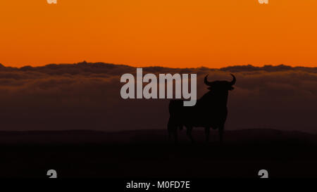Toro Toro, a large sign in Leon Spain. Spanish bull sign at the side of ...