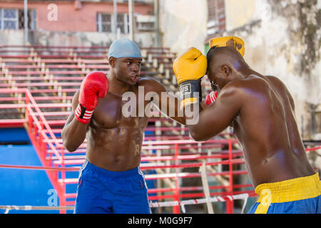 Boxing ring in Havana, Cuba, South America Stock Photo - Alamy