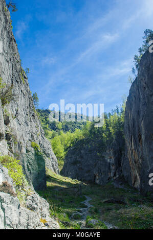 Wide ravine with narrow pathway in Altai mountains Stock Photo - Alamy