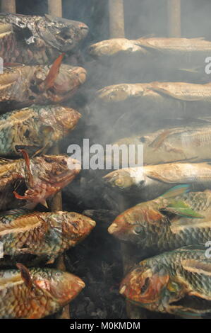 Fish of a coral reef fried on the grill. Java in Indonesia Stock Photo ...