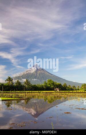 Philippines,Luzon,Albay Province,Tabaco,Mayon Volcano Stock Photo - Alamy
