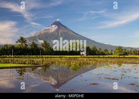 Philippines,Luzon,Albay Province,Tabaco,Mayon Volcano Stock Photo - Alamy