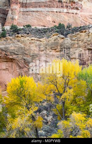 Capitol Reef NP in UT Stock Photo - Alamy
