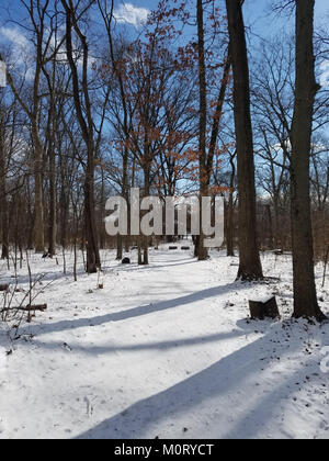 A photograph of Cardiff Woods Park, showcasing its natural beauty and ...