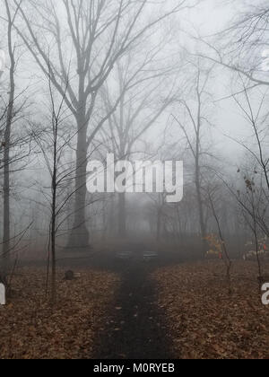 Cardiff Woods Park is a public park known for its scenic beauty and ...