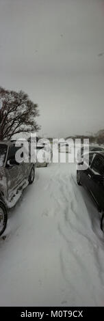 Vehicles drive along Lake Shore Drive near North Avenue Beach on May 26 ...
