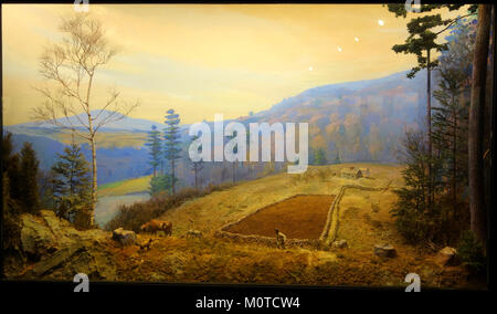 This diorama in the Fisher Museum at Harvard Forest depicts a ...