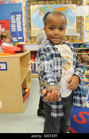 Preschool photos from CDSA, capturing moments from early childhood ...