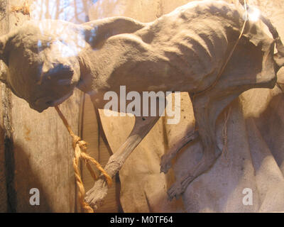 Black plague cemetery in Rouen, France Stock Photo - Alamy