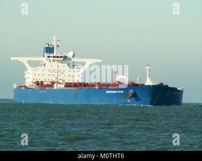 The Capricorn Star, a ship approaching the Port of Rotterdam in the ...