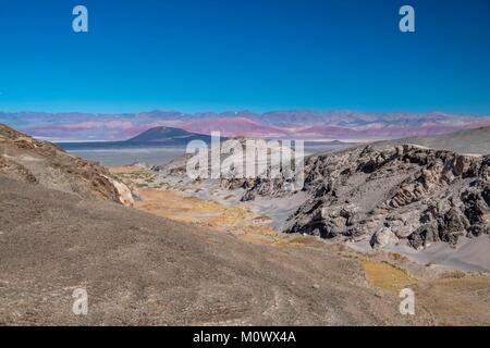 Argentine,Catamarca province,Puna desert,El Penon,laguna Grande,Laguna ...