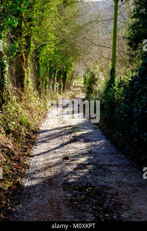 Longhope vilage in the Gloucestershire countryside. Looking down into ...