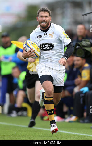 Wasps' Willie LeRoux Stock Photo - Alamy