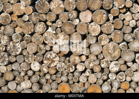 a lot round cutted logs in nature Stock Photo - Alamy