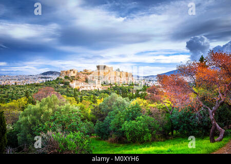 Acropolis with Parthenon. View through a frame with green plants, trees ...