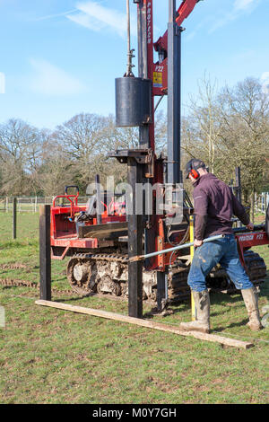 Man using a post ramming machine to drive new wooden posts into the ...