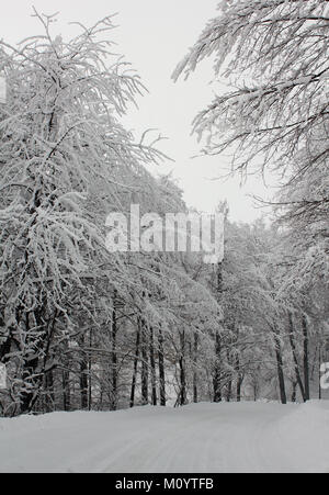 Winter in Serbia Stock Photo - Alamy