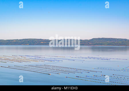 Aerial view of fishing hatchery at chiloe island, chile Stock Photo - Alamy