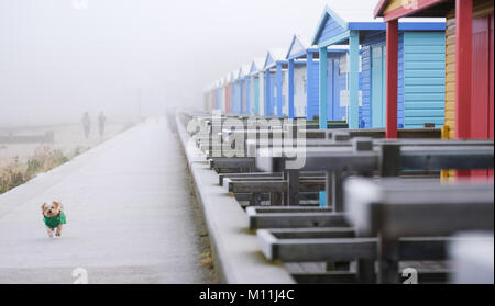Whitstable sea front on a cold and misty morning Stock Photo - Alamy