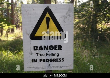 Tree felling in progress sign. Sawn tree logs in the background Stock ...