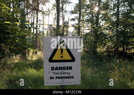 Sign indicating Danger because tree felling is in progress in ...