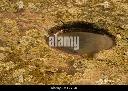 reflection in pool in mossy stone Stock Photo - Alamy