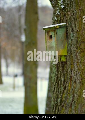 Nesting box hanging in a tree Stock Photo - Alamy