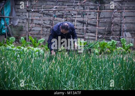 Chengdu, Chengdu, China. 26th Jan, 2018. Chengdu, CHINA-January 2018 ...