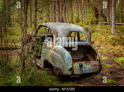 Rusted and destroyed wreck of an old vintage car abandoned in the forest next to a decaying ...