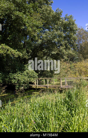 Ampney Brook in summer sunshine, an idyllic stream in The Cotswolds ...