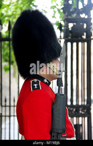England London. Circa July 2014. Royal guard in red uniform standing on ...
