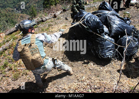 A member of the California National Guard Counterdrug Task Force and a ...