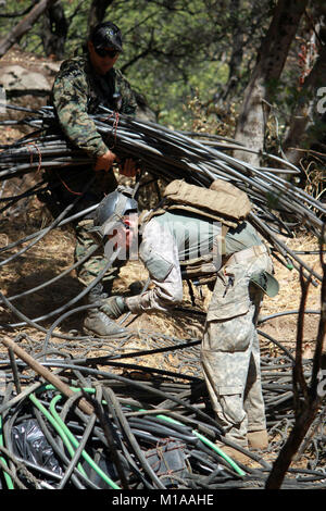 A member of the California National Guard Counterdrug Task Force ...