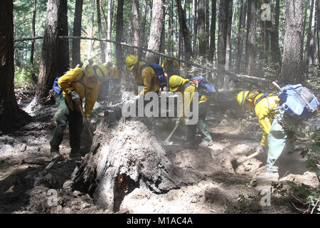 A firefighting crew from Task Force Alpha, California Army National ...