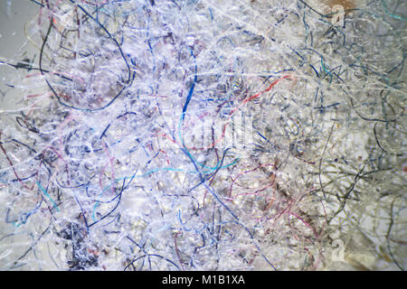 The Microscopic World. Ordinary house dust under the microscope Stock ...