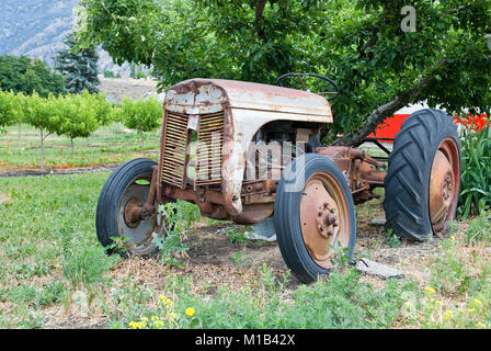 Vintage Tractor, grey tractor massey ferguson agriculture Stock Photo ...